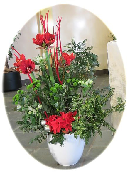 Ons leven :: scheut.be